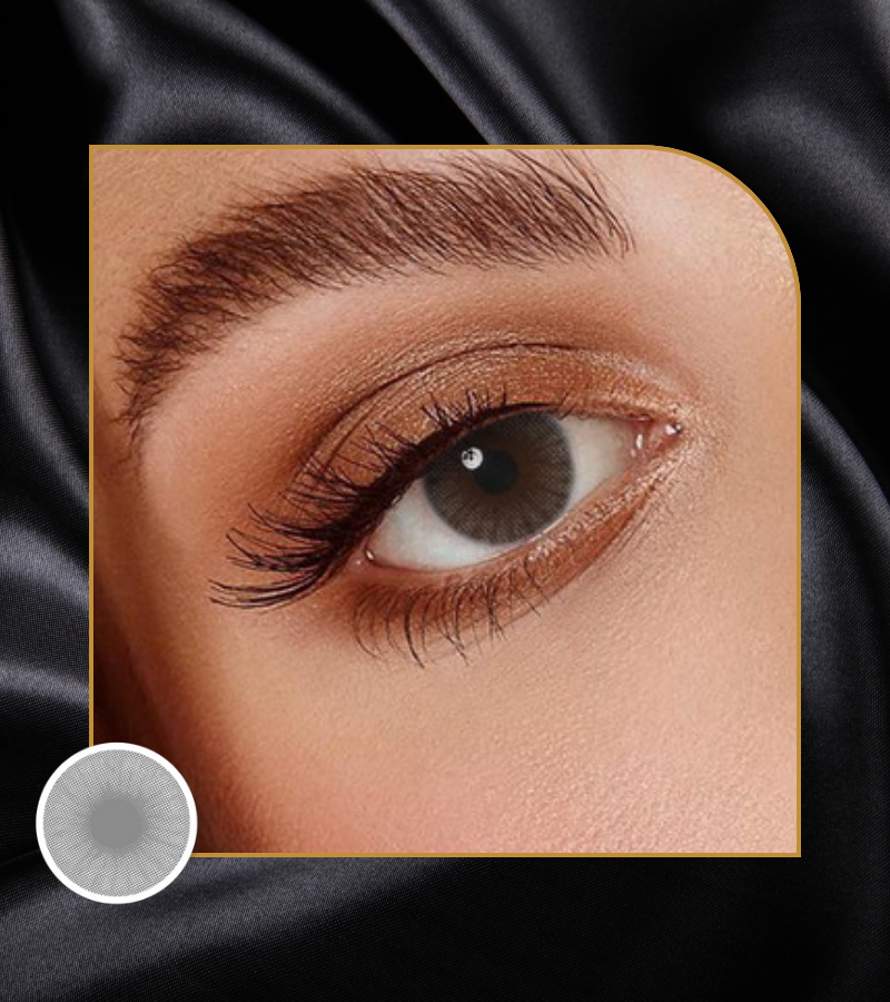 Veni Ice Gray VC-21 – Venicol Color Contact Lens